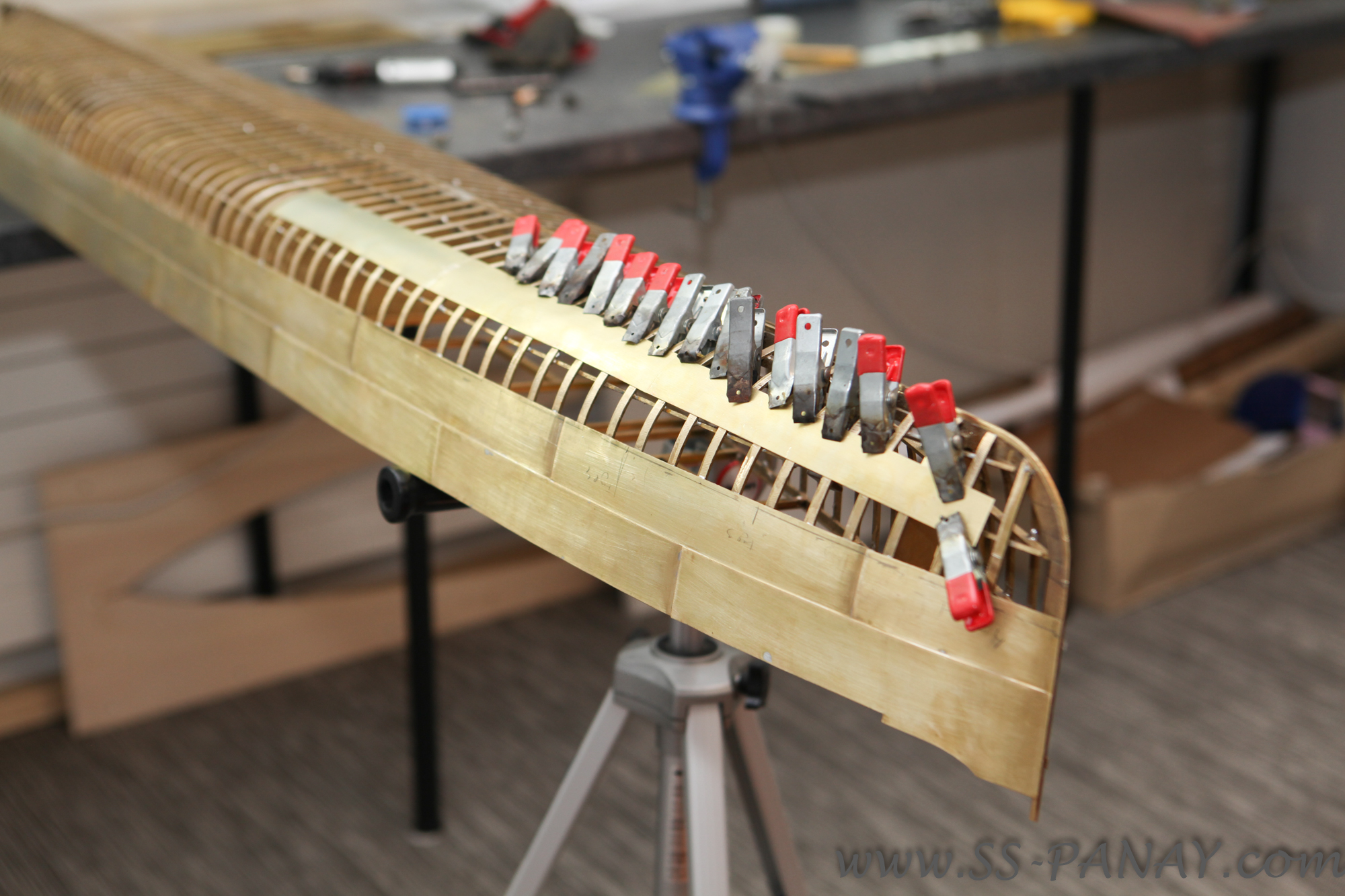 Modellbau - SS Panay Wrack Sipalay, Campomanes Bay, Negros, Philippinen